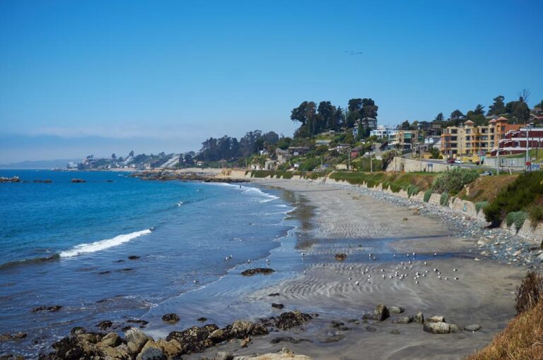 O que fazer em Concón - Chile - Viagens e Caminhos