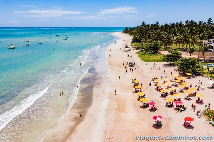 As 20 melhores praias de Alagoas - Viagens e Caminhos