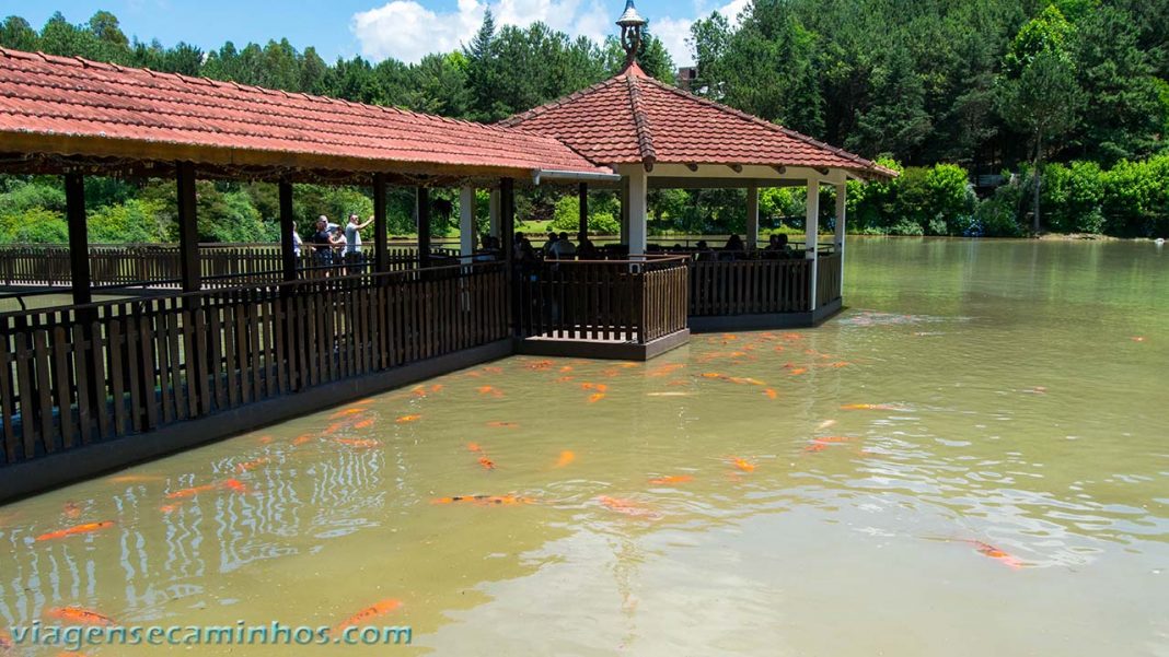 O que fazer em Treze Tílias: Cidade mais austríaca do Brasil - Viagens ...