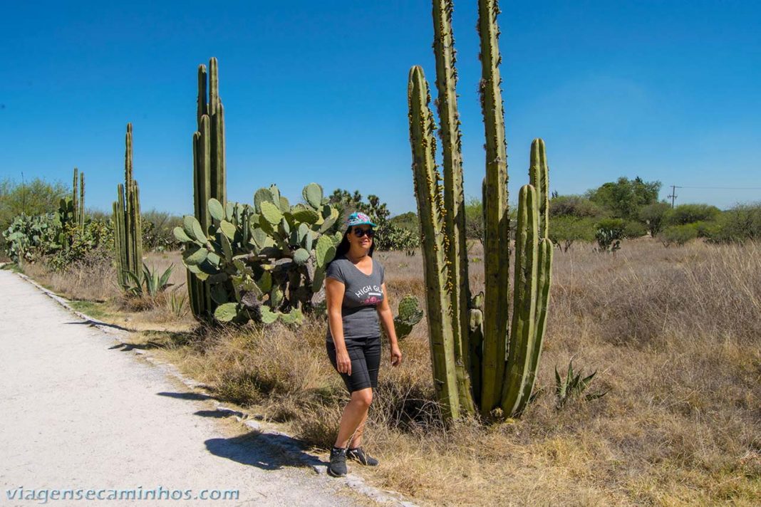 Atlantes de Tula e a cidade dos Toltecas - México - Viagens e Caminhos