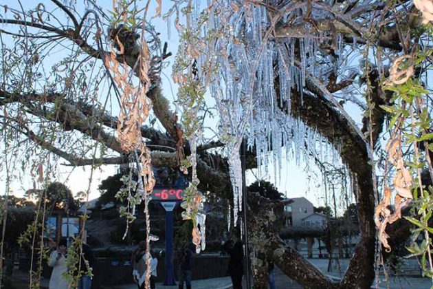 O que fazer em Urupema SC: Cidade mais fria do Brasil - Viagens e Caminhos