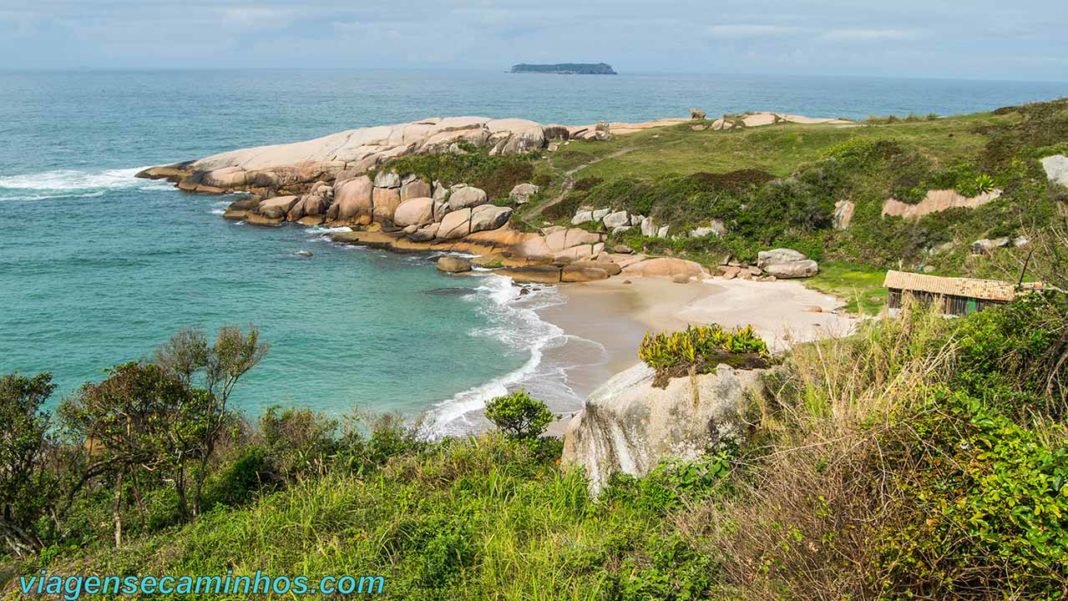 Trilha do Gravatá - Florianópolis - Viagens e Caminhos