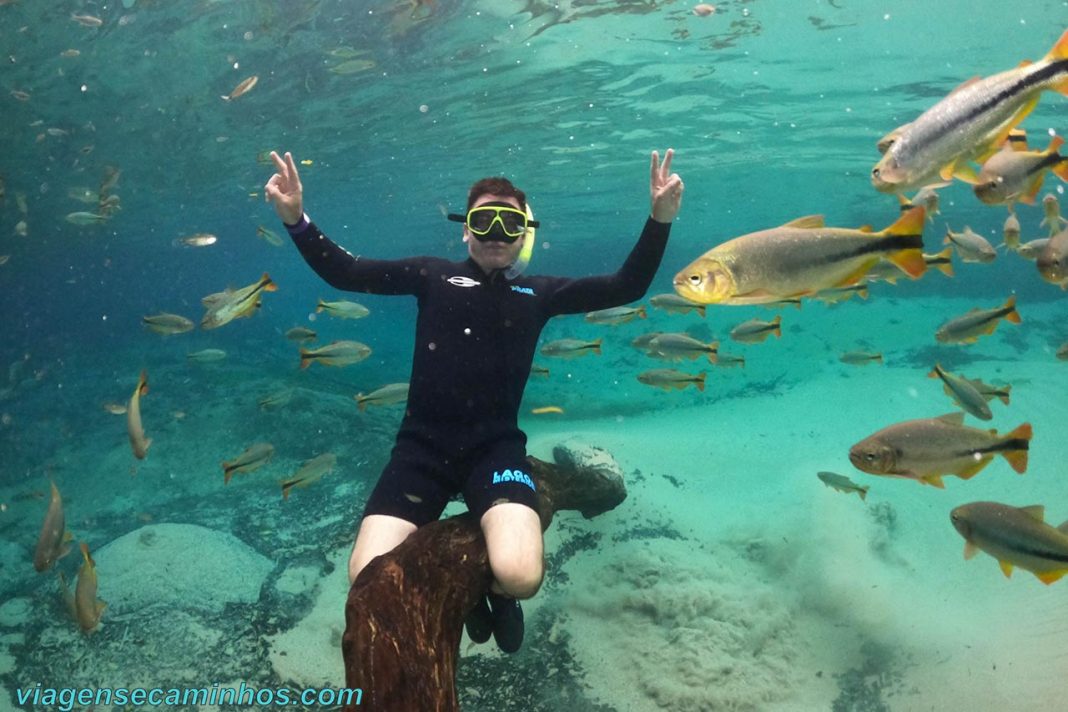 O que fazer em Bonito MS: 40 atrações e roteiro - Viagens e Caminhos