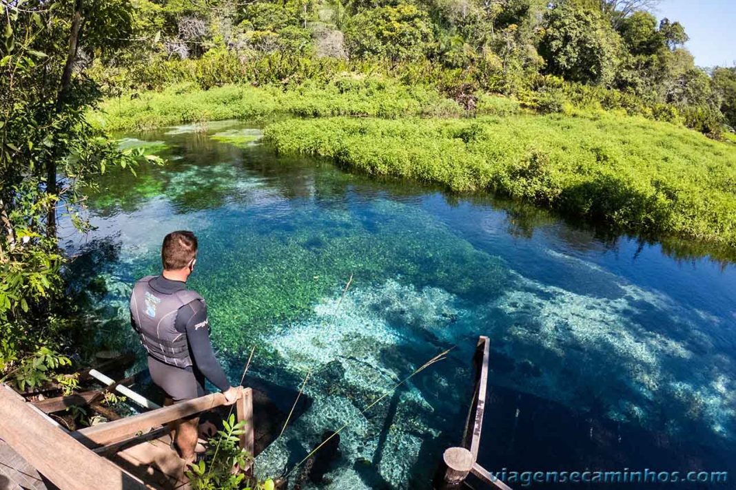 Flutuação Rio Sucuri - Bonito: Rio mais cristalino do Brasil - Viagens ...