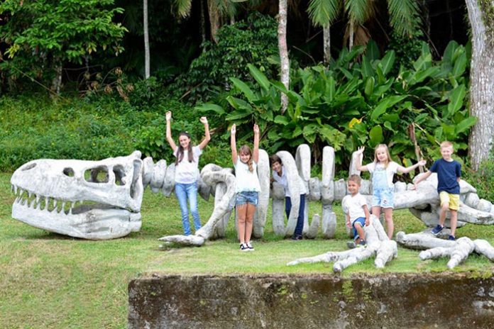 O que fazer em Timbó SC: Pontos turísticos e dicas - Viagens e Caminhos