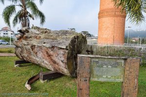 Rio Negrinho SC: 13 pontos turísticos - Viagens e Caminhos