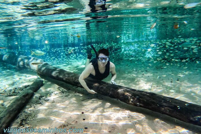 Nobres MT: O que fazer, passeios e dicas - Viagens e Caminhos