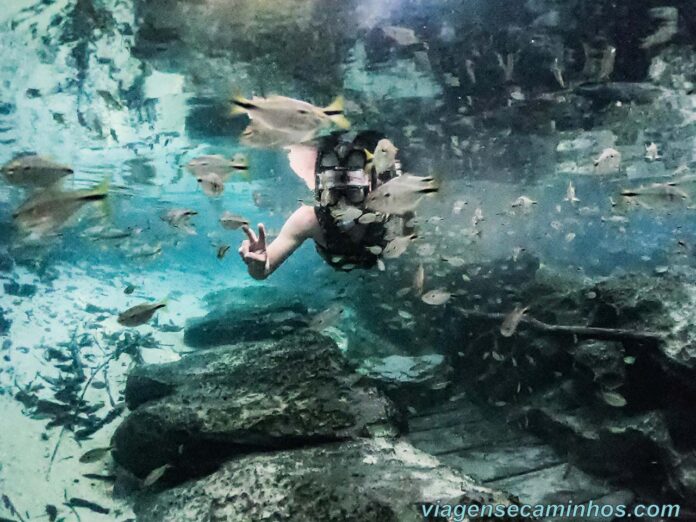 Nobres MT: O que fazer, passeios e dicas - Viagens e Caminhos