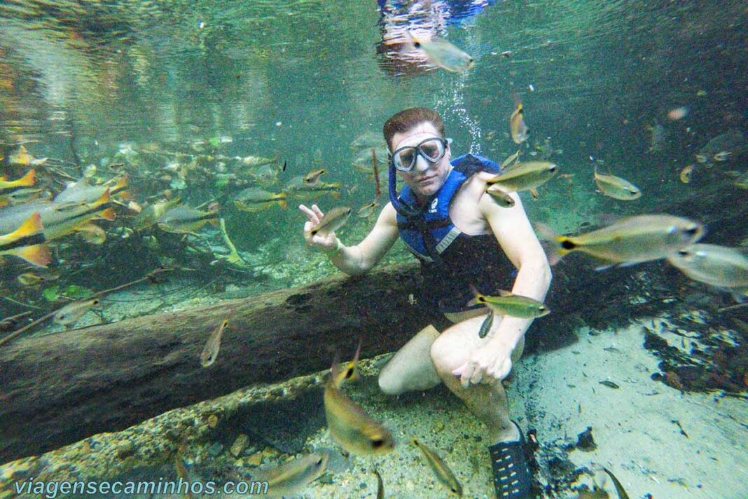 Nobres MT: O que fazer, passeios e dicas - Viagens e Caminhos