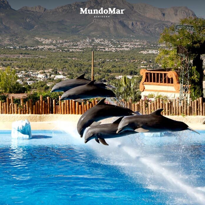 Benidorm, Espanha: O que fazer na cidade - Viagens e Caminhos