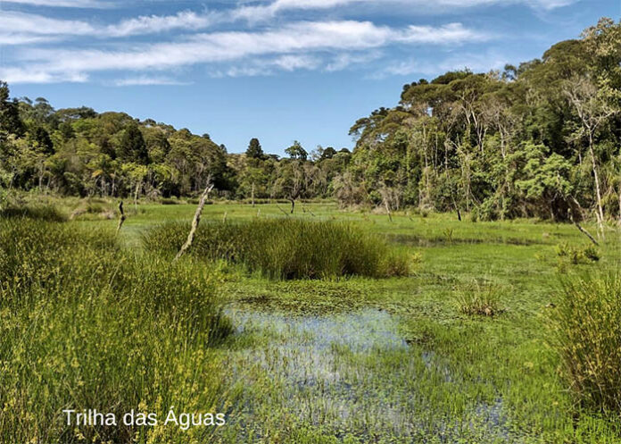 Parque Estadual Rio Canoas - Campos Novos - Viagens e Caminhos