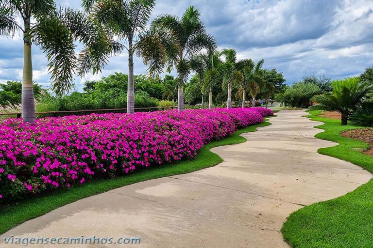 O que fazer em Holambra SP: Cidade das Flores - Viagens e Caminhos