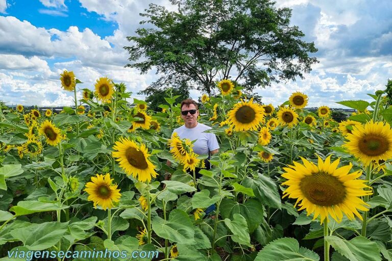 O que fazer em Holambra SP: Cidade das Flores - Viagens e Caminhos