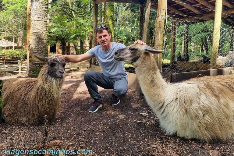 O que fazer em Monte Verde MG: 18 pontos turísticos - Viagens e Caminhos