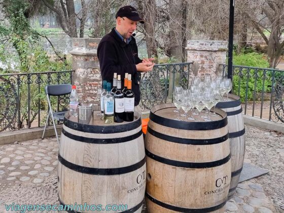Concha y Toro: Passeio na vinícola mais famosa do Chile - Viagens e ...