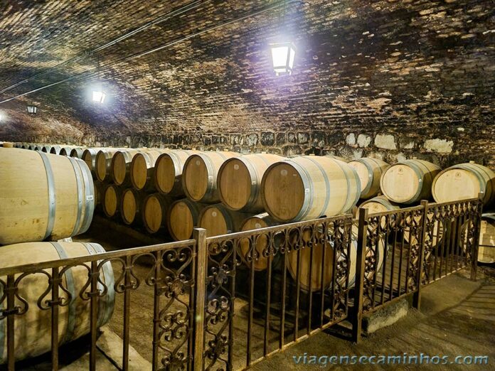 Concha y Toro: Passeio na vinícola mais famosa do Chile - Viagens e ...