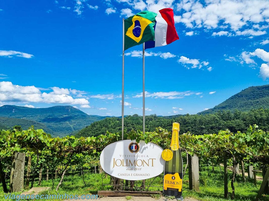 Vinícola Jolimont, Canela: Visitação e degustação - Viagens e Caminhos