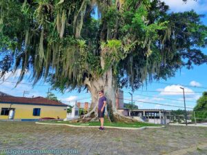 O que fazer em Cananéia SP: Praias e atrações - Viagens e Caminhos