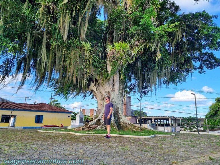 O que fazer em Cananéia SP: Praias e atrações - Viagens e Caminhos
