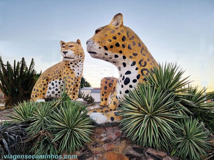 São Raimundo Nonato: o que fazer além da Serra da Capivara - Viagens e Caminhos
